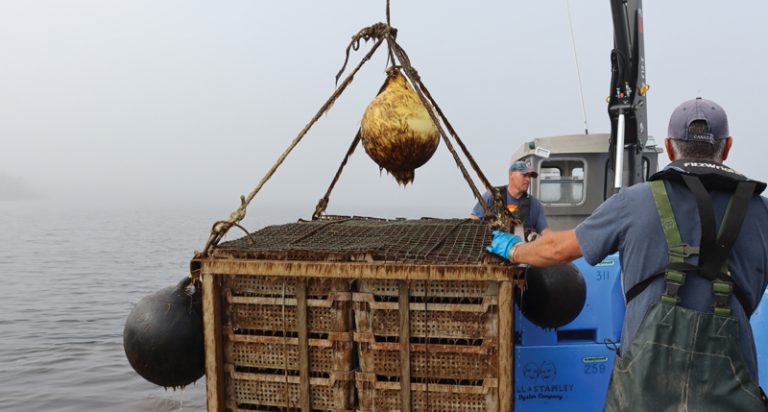 Aquaculture: Nova Scotia shellfish farmers work to serve up the best ...