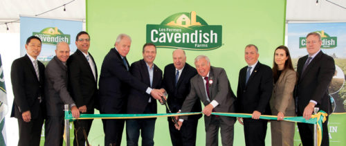 Fries with that? 42 years of Cavendish Farms | Atlantic Business Magazine