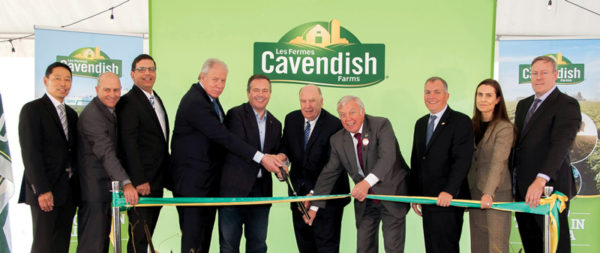 Fries with that? 42 years of Cavendish Farms | Atlantic Business Magazine