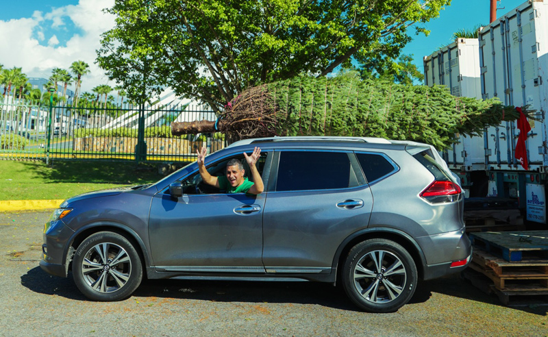 Nova Scotia tree growers warming hearts in warmer climes | Atlantic ...